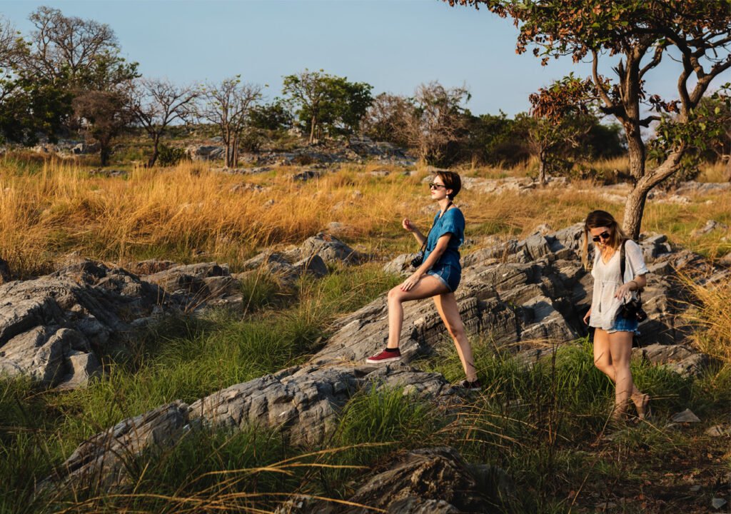 Jungle safari by walking made your day - Enfoque Monterrey