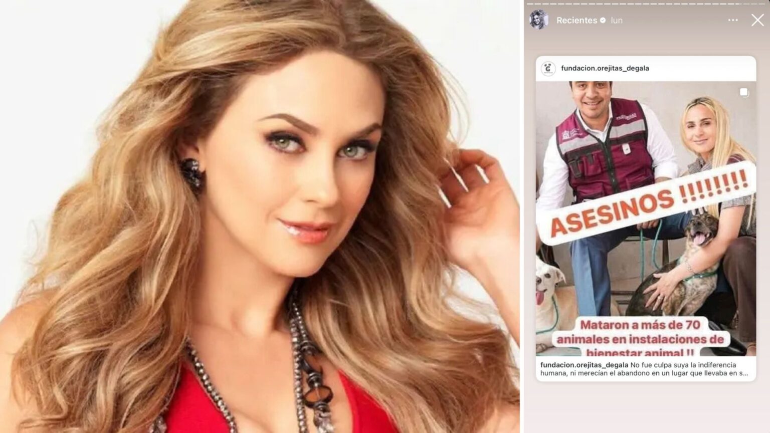 Emily llega a Monster High: Mattel presenta muñeca inspirada en El ...